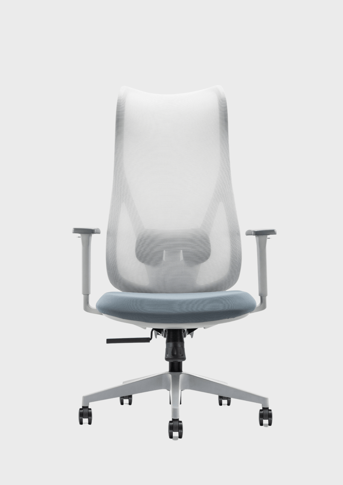 Our Chair Collection - ROCCO